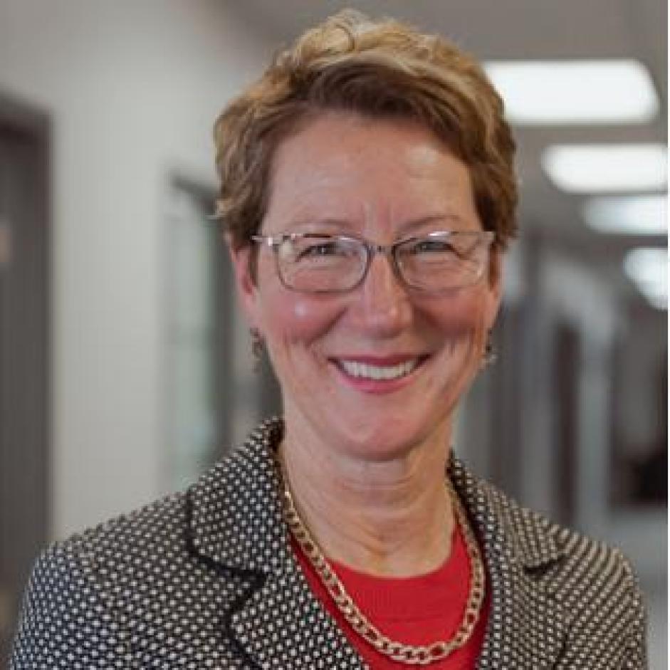 Ann Worth - Volunteer Connector & Facilitator